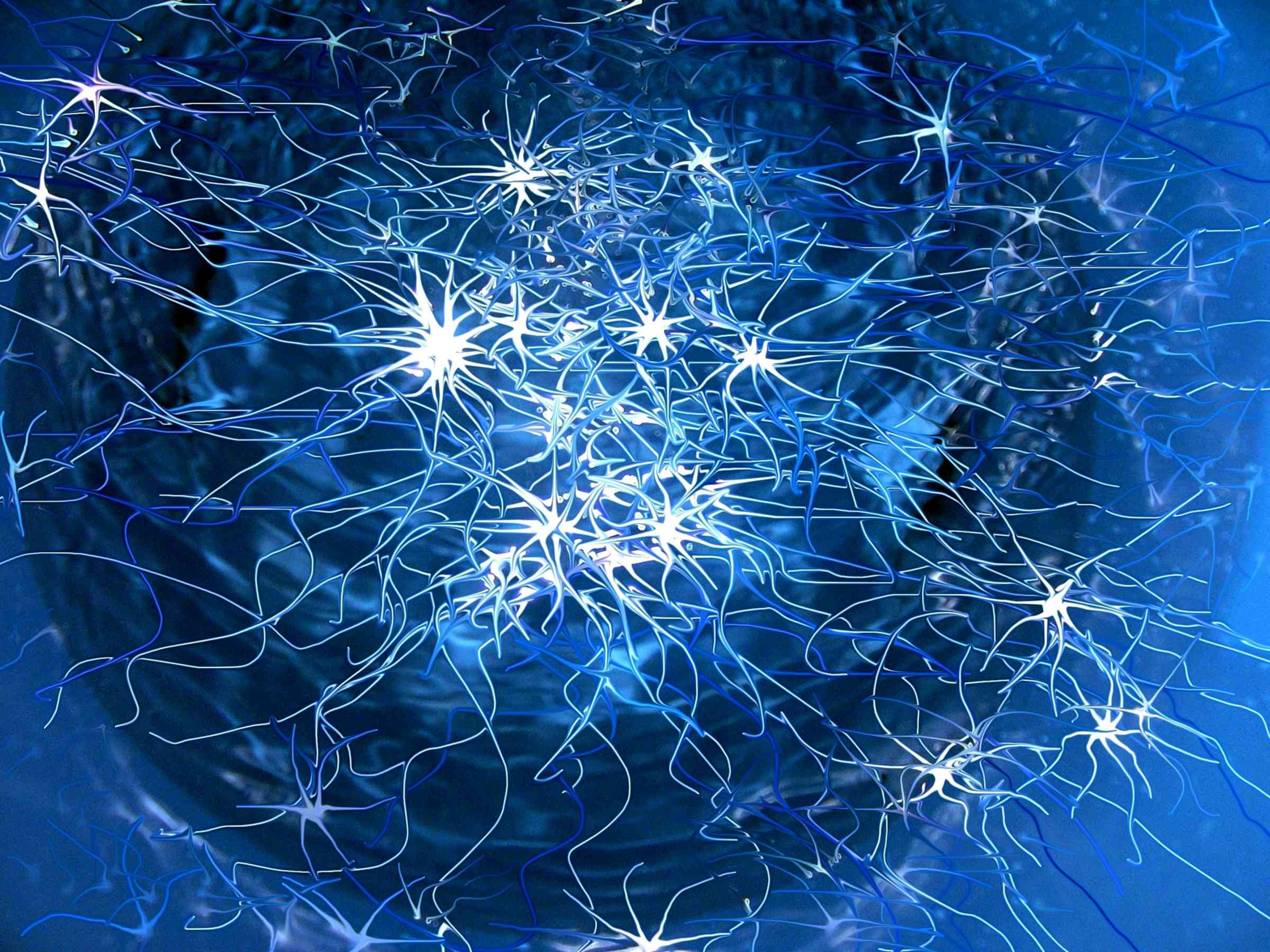 Active Deep Learning – Ex Uno Plura